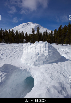 Blockhütte Chilkoot Trail British Columbia Kanada Stockfotografie - Alamy