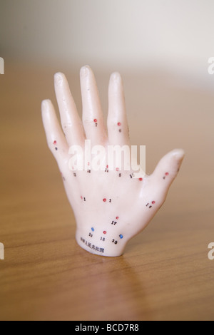 Modell-Puppe, Detail, Akupunkturpunkte, rot, Meridiane, Serie, Meridian ...