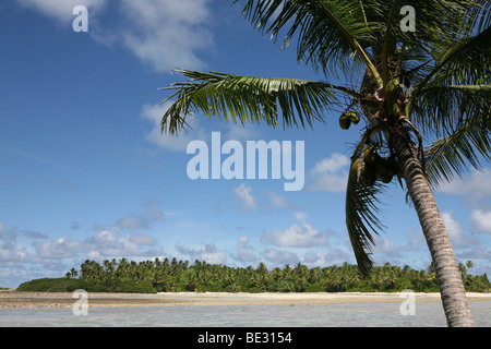 Tuvalu, früher bekannt als die Ellice Inseln ist eine polynesische ...
