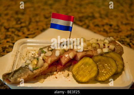 Niederländische traditionelle roher Fisch Hering mit Zwiebeln Stockfoto ...