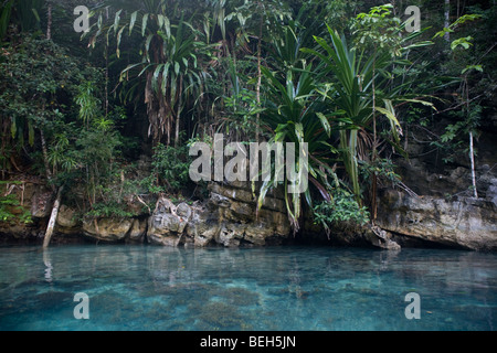 Küste und Korallenriff der Insel Misool, Raja Ampat, West Papua ...
