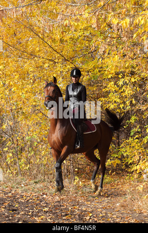Junge Dressurreiterin tragen einen Hut Reithosen spornt Ridings Stiefel ...