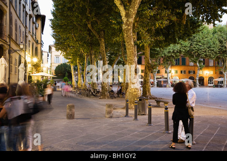 Piazza Napoleone, Lucca, Toskana, Italien Stockfotografie - Alamy