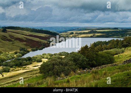 Crai Reservoir in den Brecon Beacons National Park Stockfotografie - Alamy