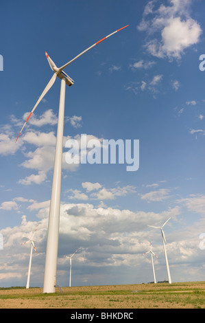 Wind Räder, Brandenburg, Deutschland, Europa Stockfotografie - Alamy