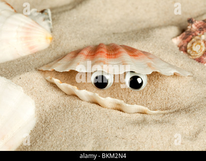 Lustig, Seesterne und Muscheln auf den Sommer Strand mit Sand und ...