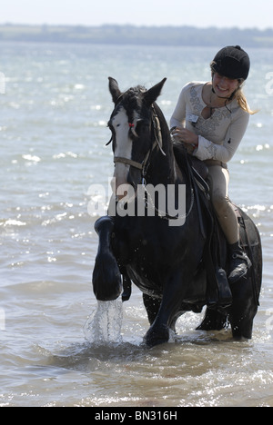 Reiterin/weibliche Reiterin Baden/Paddeln mit Pferd im seichten Wasser ...