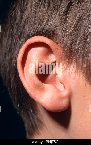 Schweden Stockholm Anatomie Körper Körper Teil Körper Teile junge ...