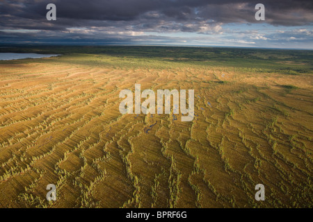 Fen und den borealen Wald in der Nähe von McClelland See nördlich von ...