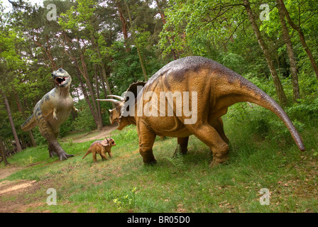Dinosaurier kämpfen. Tyrannosaurus Rex gegen Ankylosaurus. Dino Fight ...