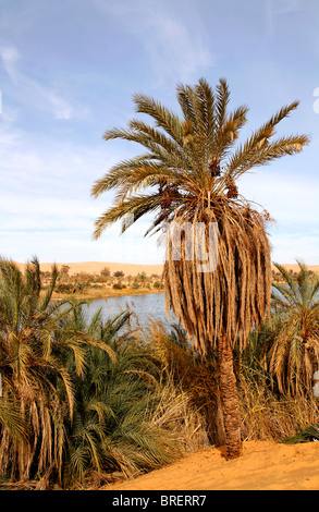 Gebraoun See (Ubari Seen), Oase am Meer Idehan Ubari Sand, Sahara Wüste ...
