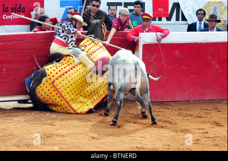 Stierkampf in der Plaza de Toros, Granada, Andalusien, Spanien, Europa ...