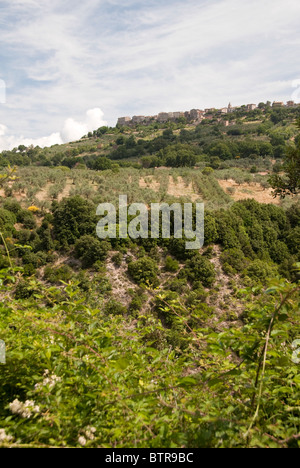 Corbara-See. Lago di Corbara. Tiber-Tal. Todi. Umbrien. Italien. Europa ...