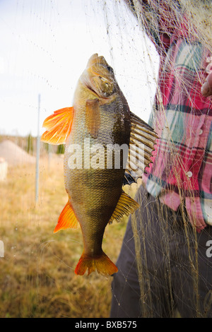 Fisch auf Fisch net durch ein Fischer am Strand Stockfotografie - Alamy