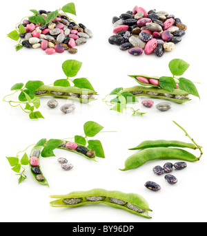 Reife Gartenbohnen Bohnen mit Saatgut, Isolated on White Background ...