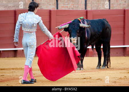 Stierkampf in der Plaza de Toros, Granada, Andalusien, Spanien, Europa ...