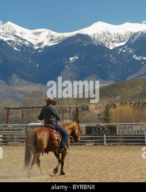 Lachs wählen Sie Pferd Verkauf, Roping, Team Roping, Tie-Down Abseilen ...