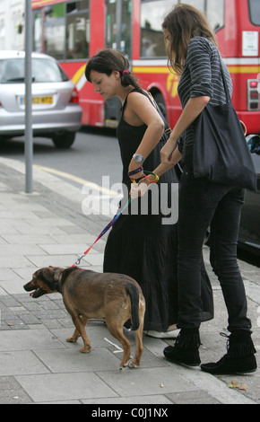 Lily Allen Arriving mit ihrem neuen Hund nach Hause holte sie vom ...