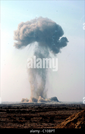 Atompilz bildet nach 3 Tonnen Alter Munition den Royal Engineers im ...