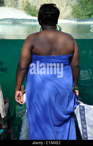 Fettleibig afroamerikanische Frau mit inneren Körperorgane Stockfoto ...