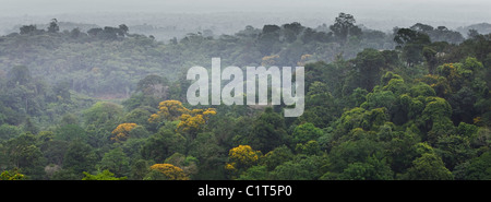 Malerische Schuß des Regenwaldes Blick aus dem Cachi Stausee, bei Orosi ...