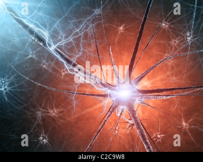 3D-Darstellung der Neuron Zellen Aufbau eines neuronalen Netzes ...