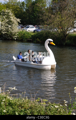 Schwan Tretboot am Fluss Avon, Warwick, Warwickshire, England, UK ...