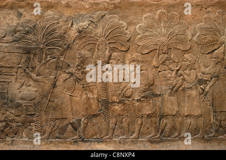 Assyrische König Sanherib wurde 681 v. Chr. in seinen Söhnen getötet ...