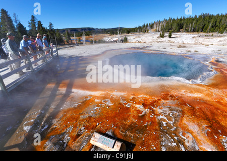 Crested Pool; heiße Quelle; Upper Geyser Basin, Yellowstone National ...