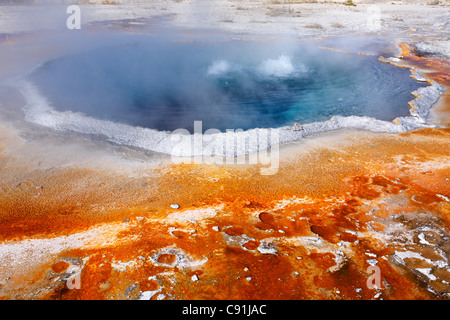 Crested Pool; heiße Quelle; Upper Geyser Basin, Yellowstone National ...