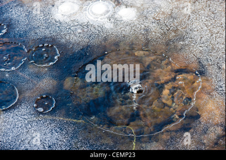 Mofette Bläschen am Laacher See Laach siehe CO2-Mendig Eifel Rheinland ...