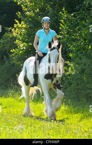 Irish Tinker Pferd - im Galopp auf Koppel Stockfotografie - Alamy