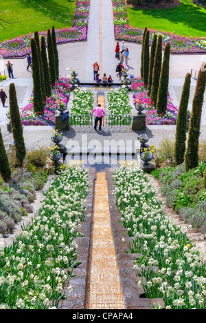 Insel Mainau, italienische Blumen-Wasser Treppe, Bodensee, Baden ...