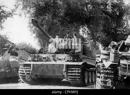 Deutschen Tiger-Panzer an der Ostfront 1944 Stockfotografie - Alamy