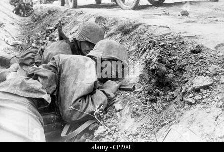 Soldaten der Waffen-SS an der Ostfront 1942 Stockfotografie - Alamy