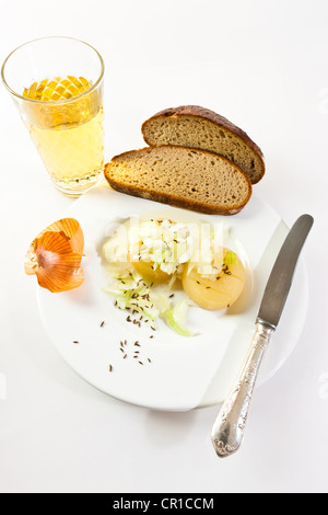 Traditionelles Gericht aus Frankfurt, gewürzt, deutscher Hand Käse oder ...