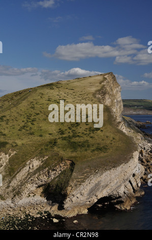 Blick nach Osten von Worbarrow Tout entlang Gold nach unten und Gad ...