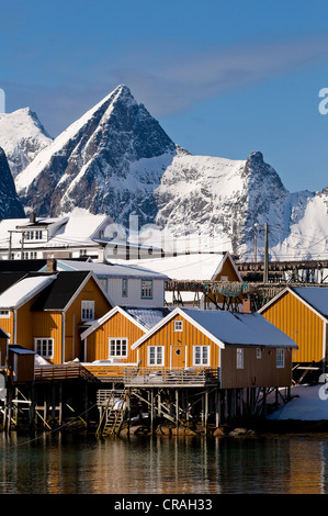 Traditionelle rote Holzhäuser, Rorbuer im kleinen Fischerdorf Nusfjord ...