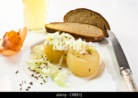 Traditionelles Gericht aus Frankfurt, gewürzt, deutscher Hand Käse oder ...