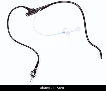 Abbildung der Endoskopie Stockfoto, Bild: 135008499 - Alamy