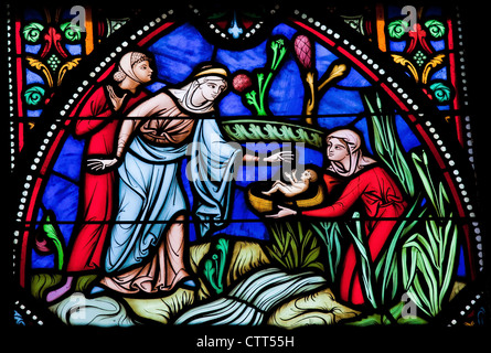 Moses aus dem Nil von der Tochter des Pharao von Ägypten gerettet ...