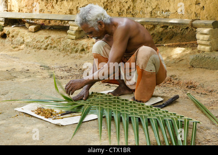 Mann weben Palmwedel in Matte, Sri Lanka Stockfotografie - Alamy