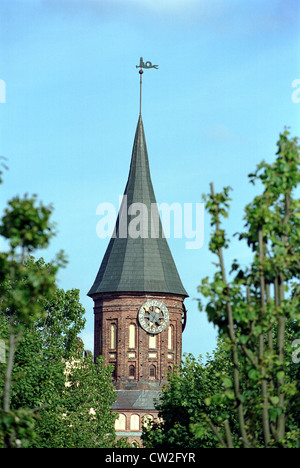 Koenigsberger Dom in Kaliningrad, Russland Stockfotografie - Alamy