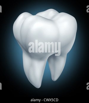 Menschlichen Zahn dental Symbol für Zahnarzt Medizin und Zahnmedizin ...