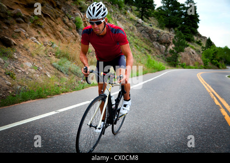 Profi-Sportler, Fahrrad, Radfahrer, Rennrad, Rist Canyon, Fort Collins ...