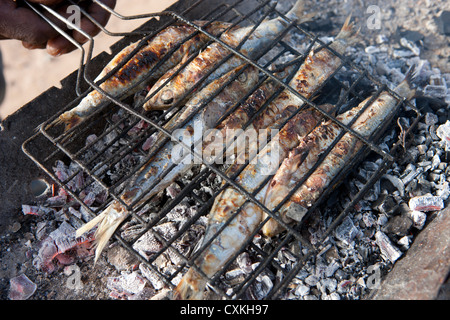 Arabische Fisch vom Grill Stockfoto, Bild: 134874117 - Alamy