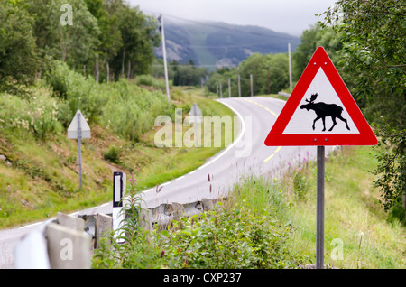eine norwegische Elch-Schild an der Landstraße Stockfoto, Bild ...