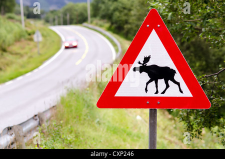 eine norwegische Elch-Schild an der Landstraße Stockfotografie - Alamy