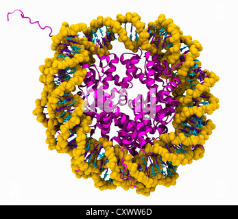 3D CGI-Modell der Struktur des Atoms zeigt den Kern und den Elektronen ...