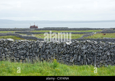 Steinmauern auf Inishere Insel, im Hintergrund das Schiffswrack, Aran ...